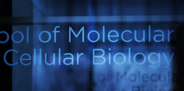 Seminars and Events | School of Molecular & Cellular Biology | Illinois